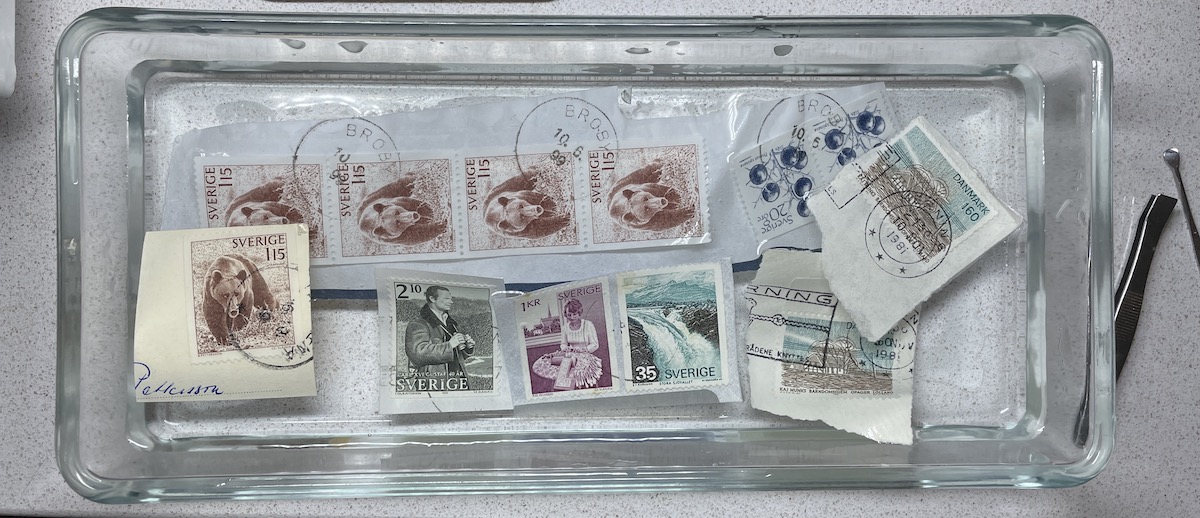 Stamp Community Forum