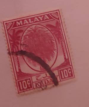 Error Stamp Please Let Me Know - Stamp Community Forum