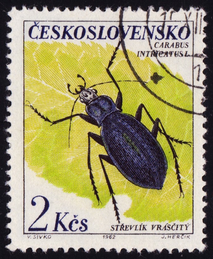 Bugs, Insects, & Creepy Crawlies - Page 18 - Stamp Community Forum
