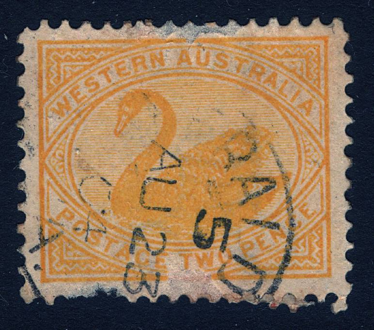 How's This For Weird? (Western Australia 2d Swan) - Stamp Community Forum